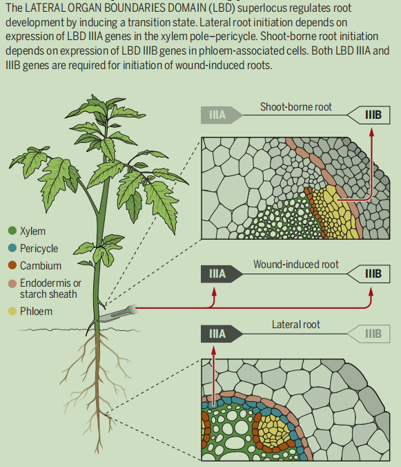 山东省千佛山医院图书馆