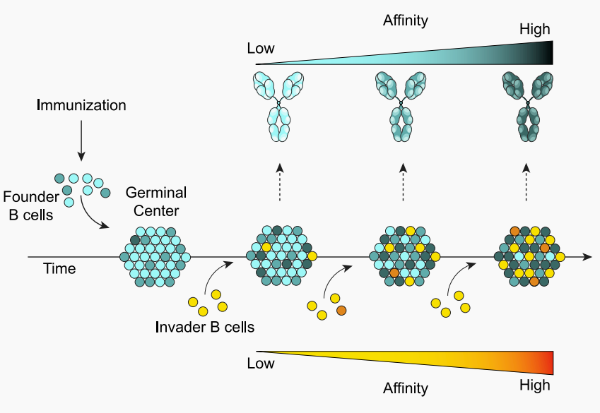复旦大学附属儿科医院图书馆-新闻详情